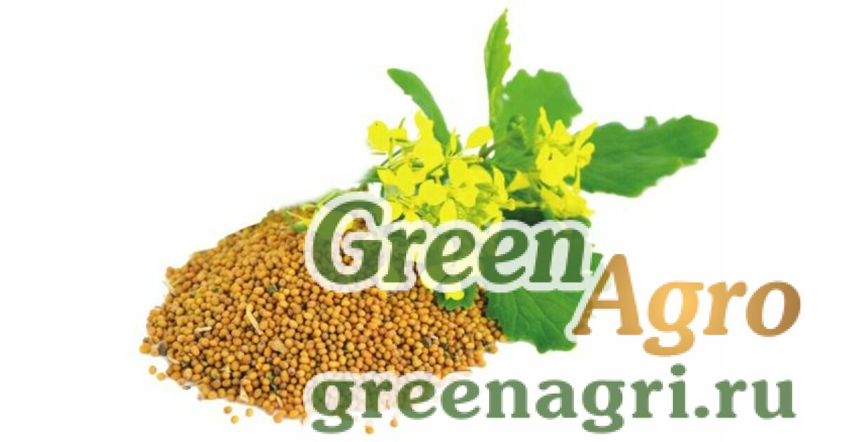Купить Сидераты и кормовые травы по дешевой Цене : Вы можете заказать в Пензе, Пензенской ...